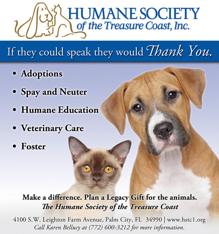Humane Society - Ad Design - JH Design Unlimited